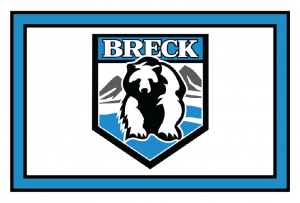 Bear Sports Logos - Spor Repor