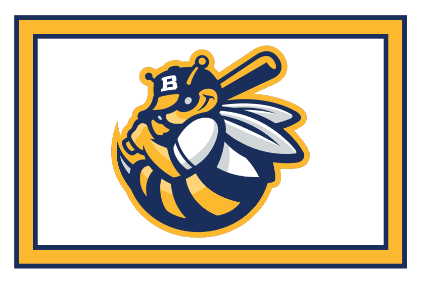 Bee Sports Logos - Spor Repor